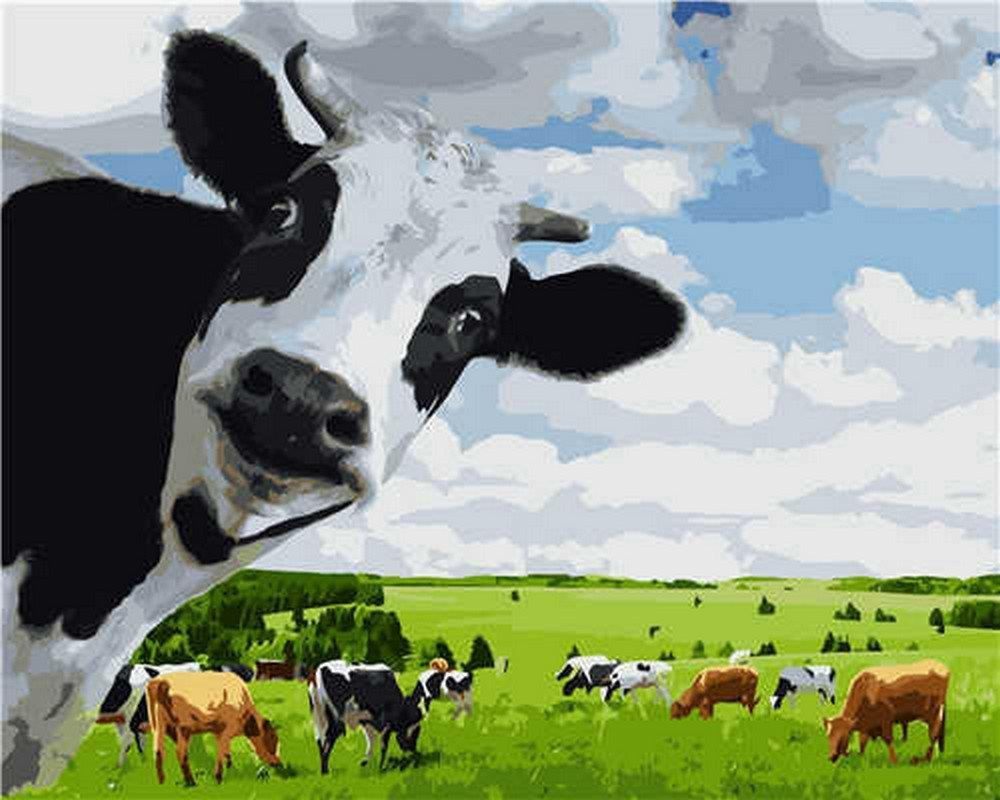 ️ Krowy na pastwisku Obraz Do Malowania Po Numerach - Idejka.pl
